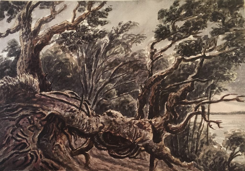 The Pre Impressionist – Rev. J L Petit